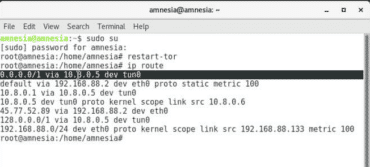 VPN with Tails: The Basics You Need to Know - PrivacyAffairs